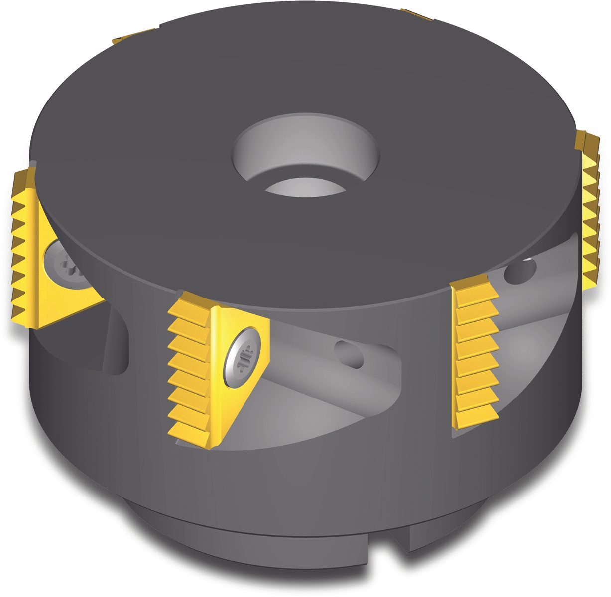 Thread Milling Standard Holder - TMSH-D50-22-2 - Vargus